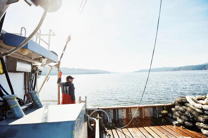 Our Commitment to Sustainable Fishing | Natural Factors USA