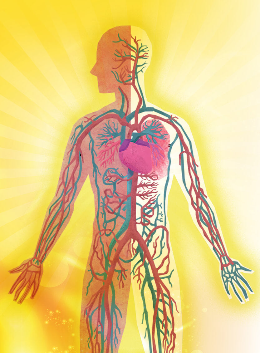 Natural Factors USA | Vitamins, Supplements, & Natural Health